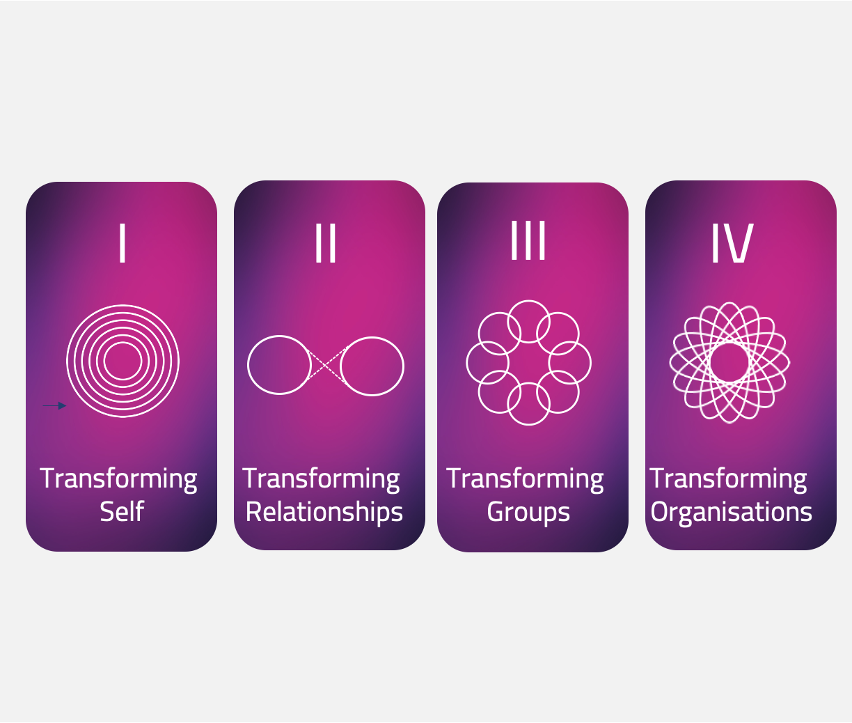 In practice: our approach - Living Systems